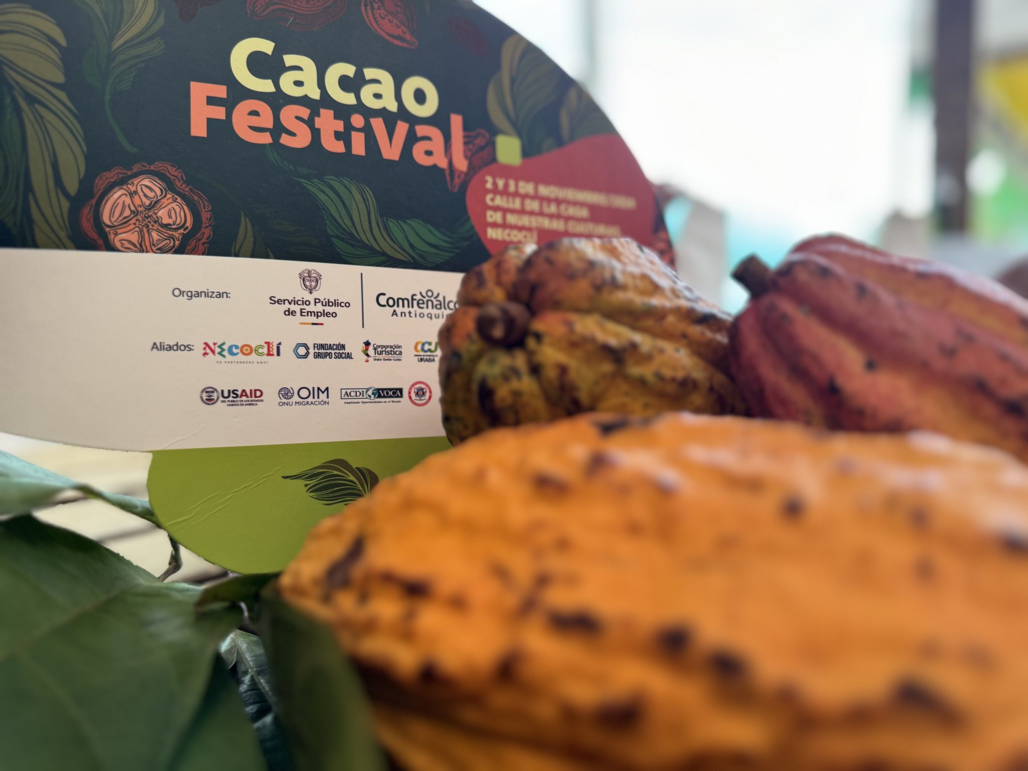 Cacao Festival: un encuentro que impulsó el talento y la cultura local ...